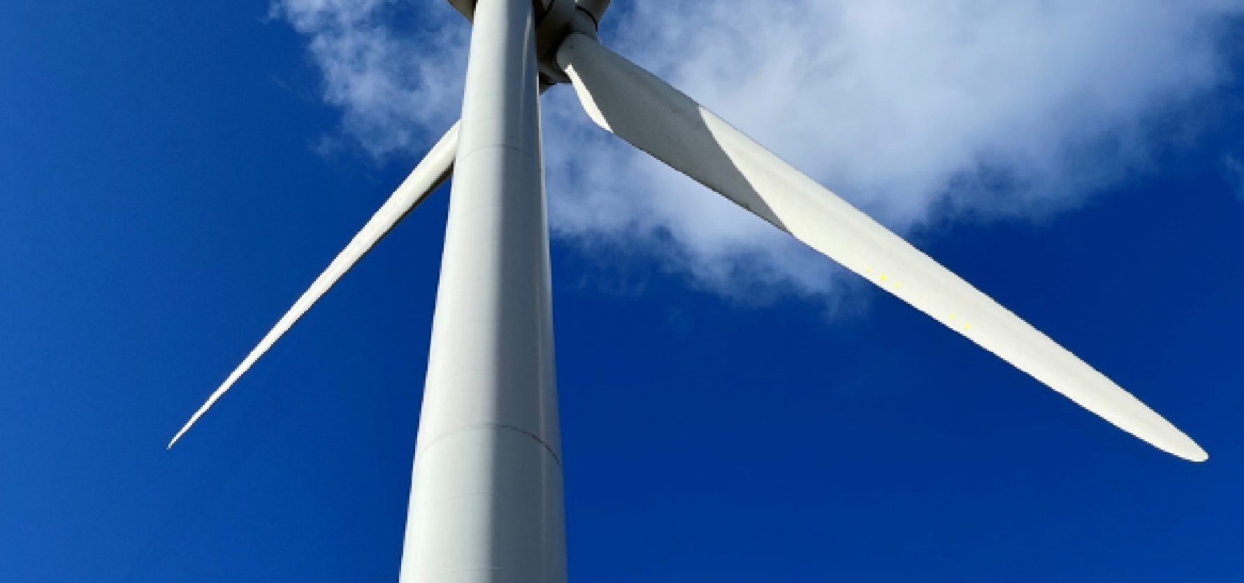 Our Services : Raw Energy
